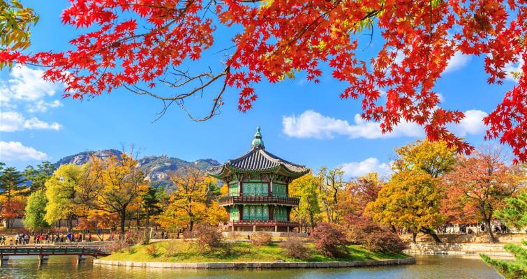 Celebrity Millennium ile Japonya & Güney Kore & Uzak Doğu